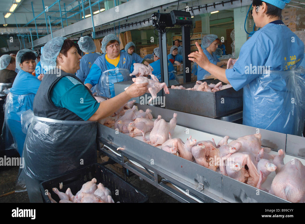 A poultry prepackaging department Stock Photo - Alamy