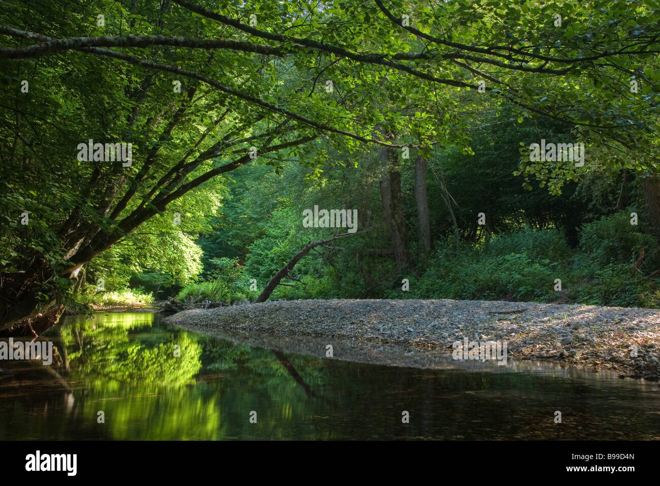 Strandzha hi-res stock photography and images - Alamy