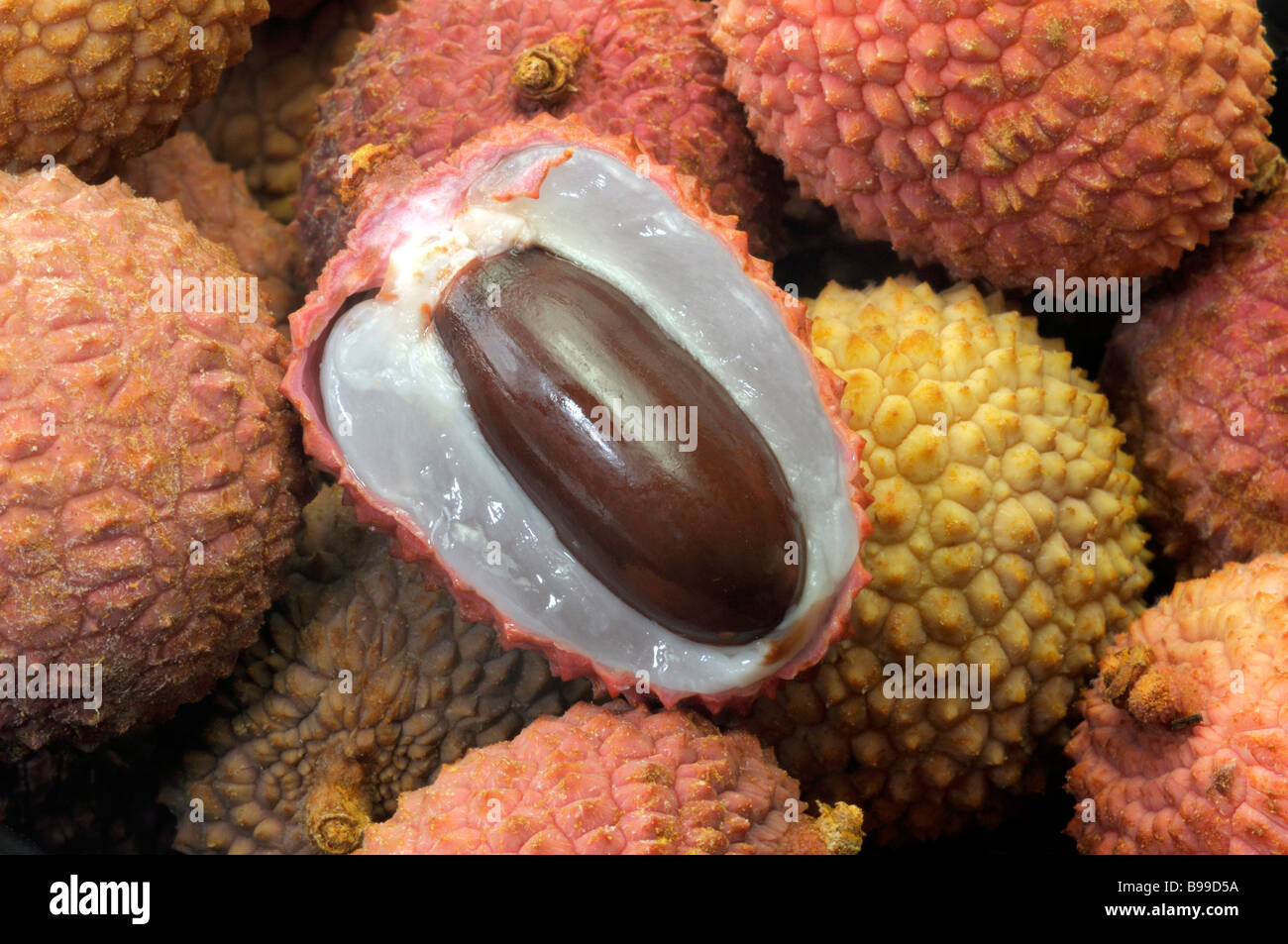 Lychee (Litchi chinensis), whole and one halved fruit Stock Photo - Alamy