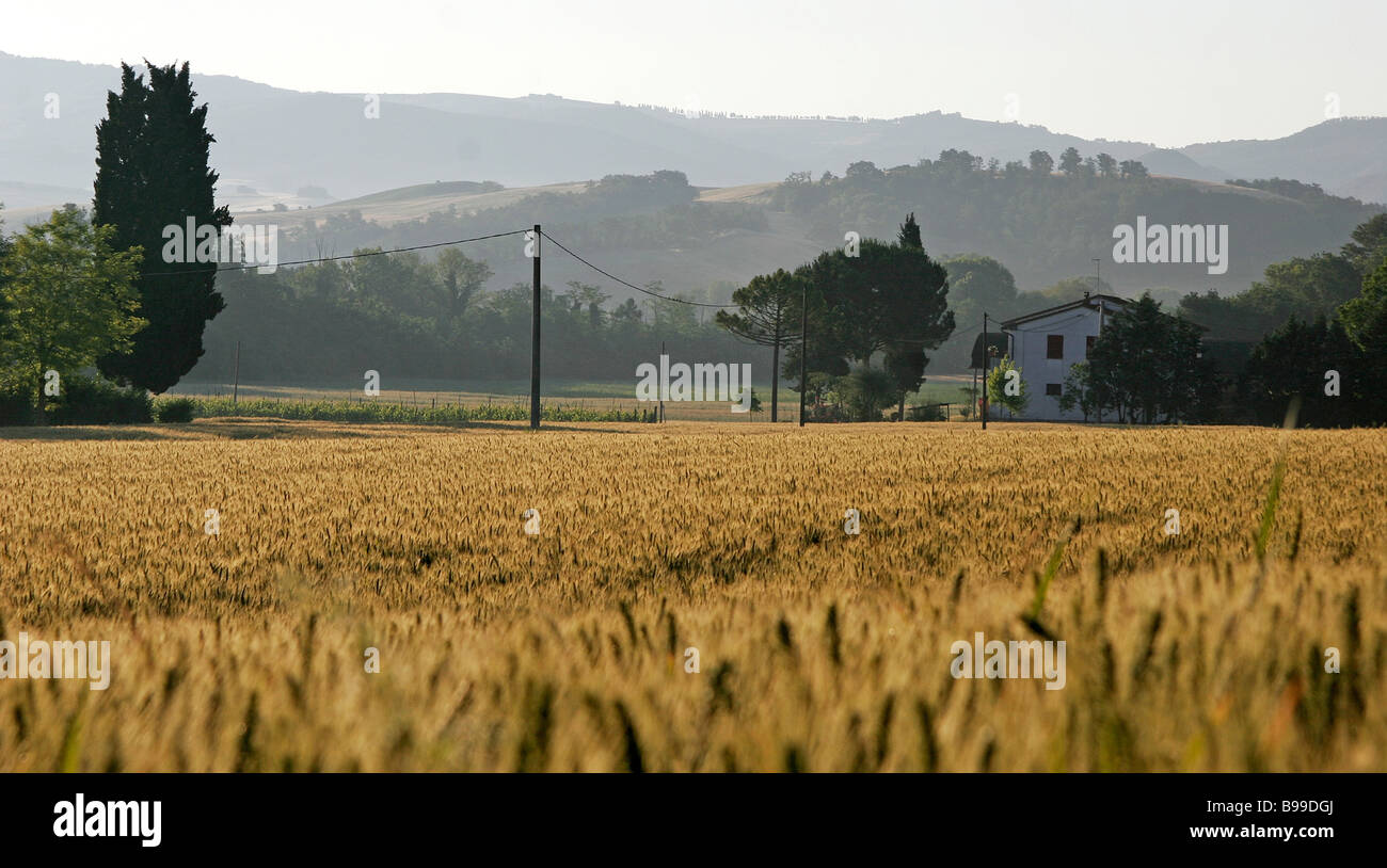 Countryside of Voltera Stock Photo - Alamy