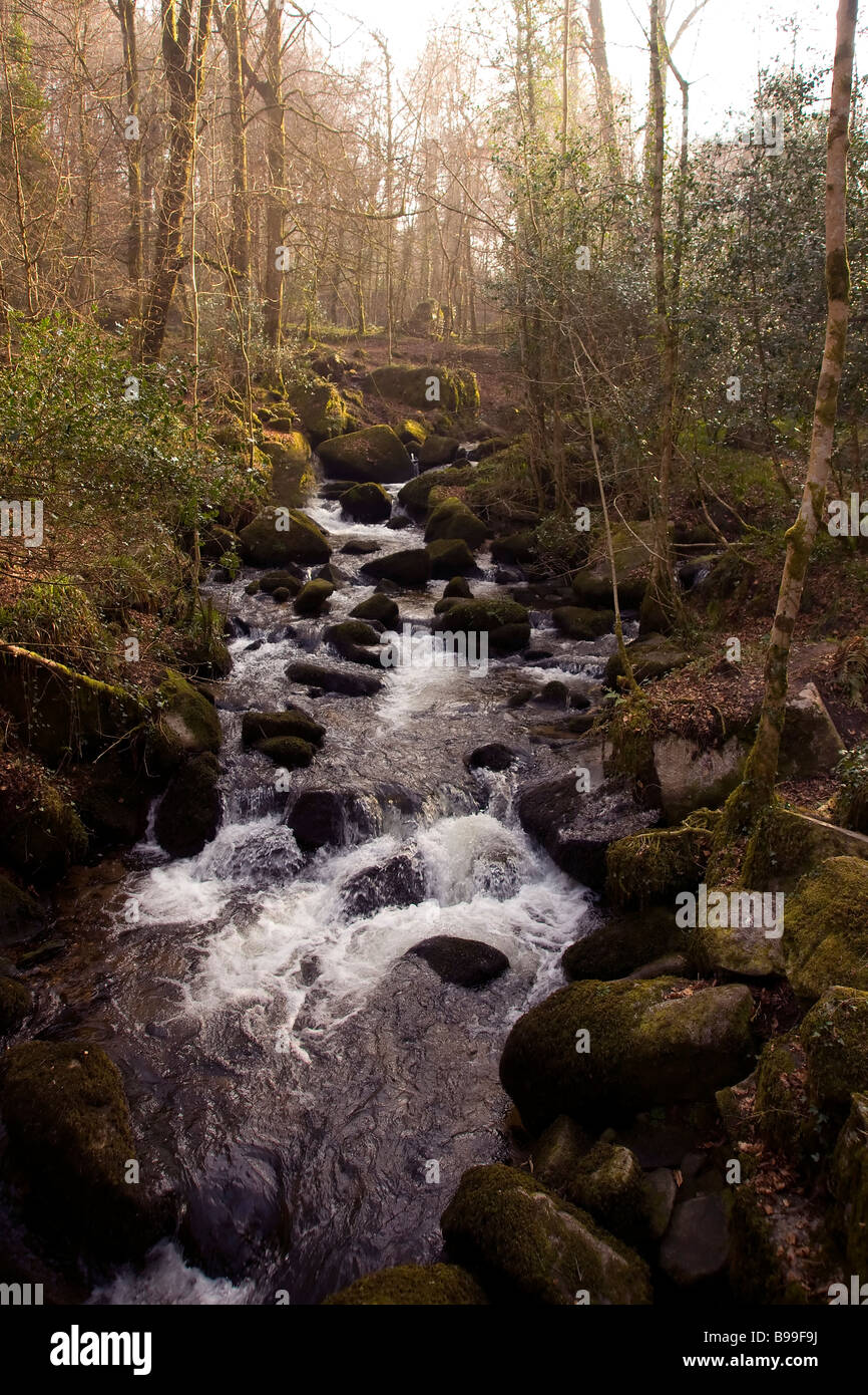 Waterfall at Kennall Vale Nature Reserve Stock Photo - Alamy