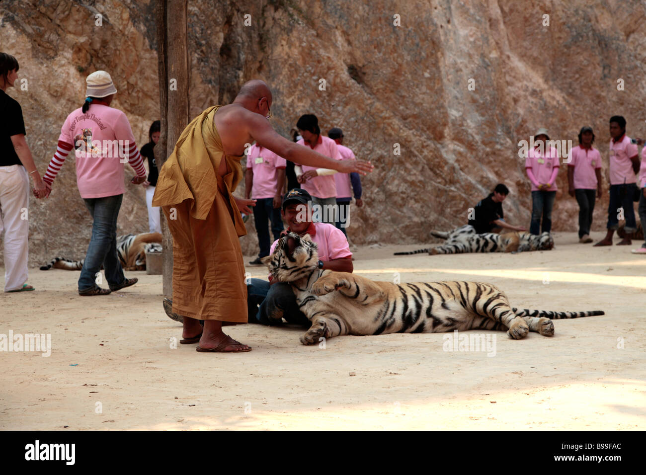 Tiger temple hi-res stock photography and images - Alamy