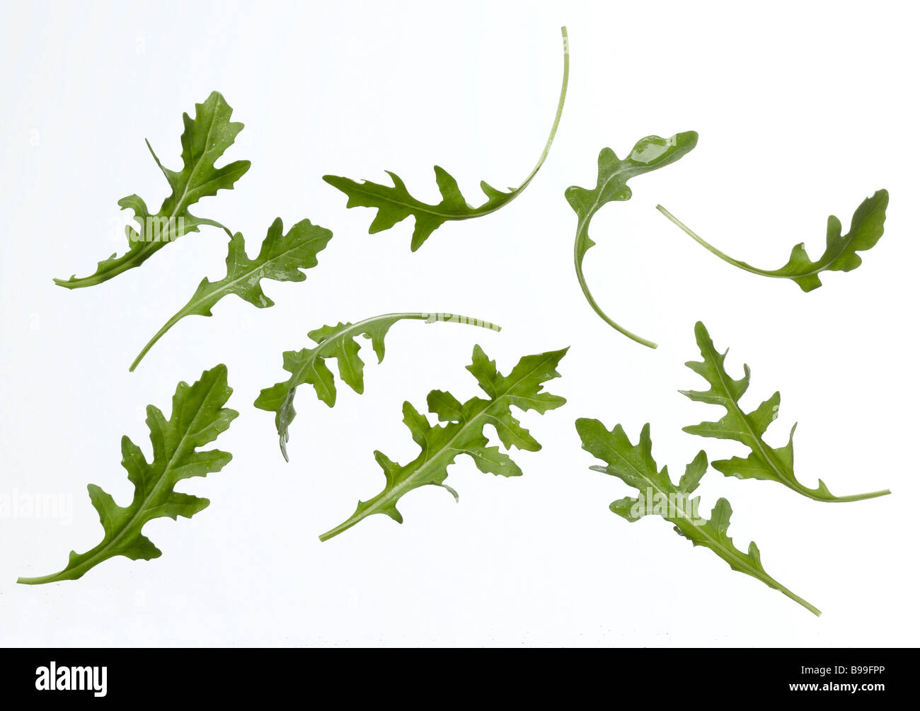 wild rocket leaves Stock Photo - Alamy