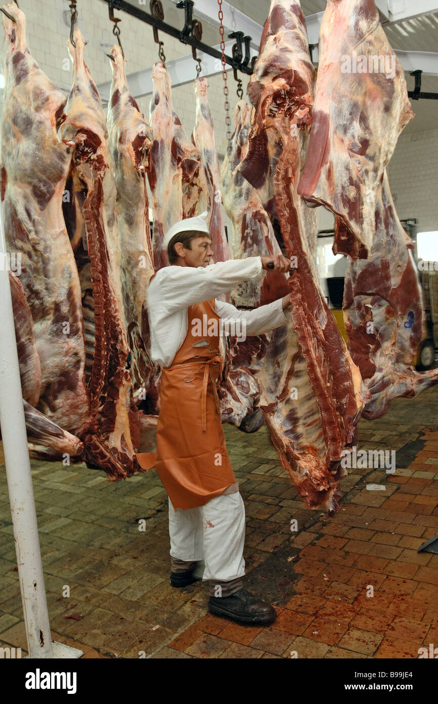 Tikhoretsky meat processing plant the largest in southern Russia ...