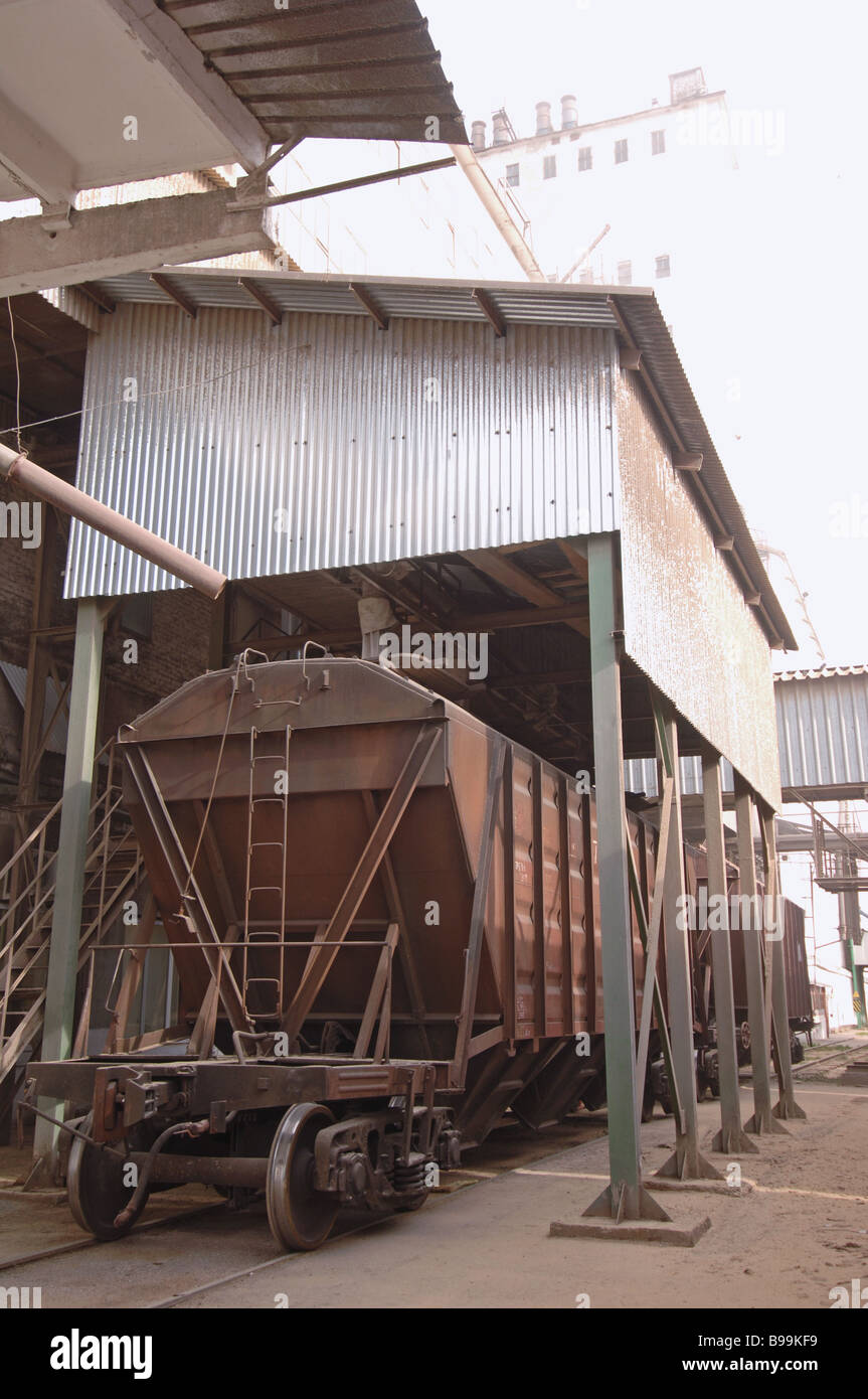 Grain loading for railroad dispatch at the Slavyansk Baking Combine ...