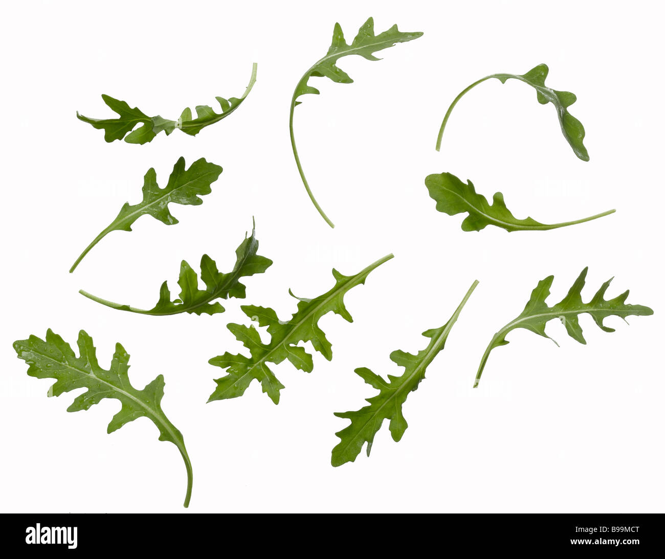 Fresh green rocket salad Cut Out Stock Images & Pictures - Alamy