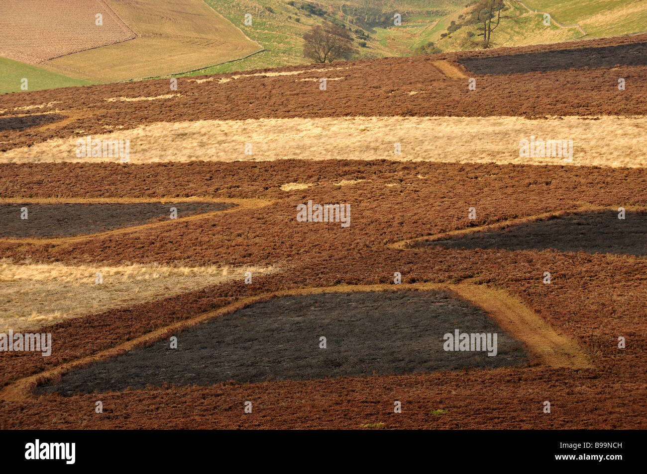Heather burning hi-res stock photography and images - Alamy