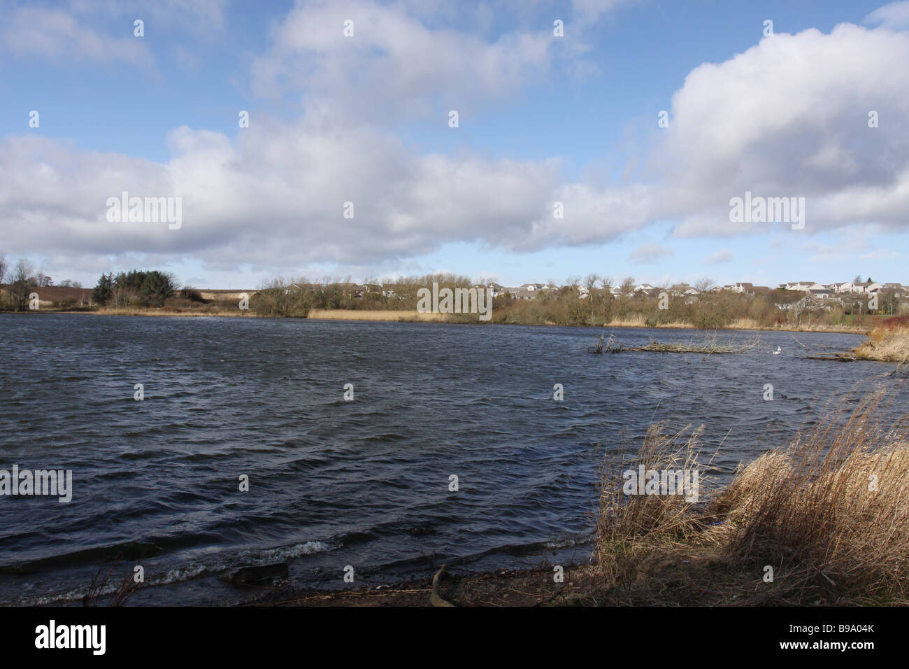 Forfar angus hi-res stock photography and images - Alamy