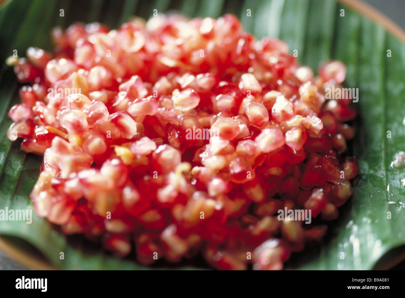 Pomegranate seeds, extreme close-up Stock Photo - Alamy