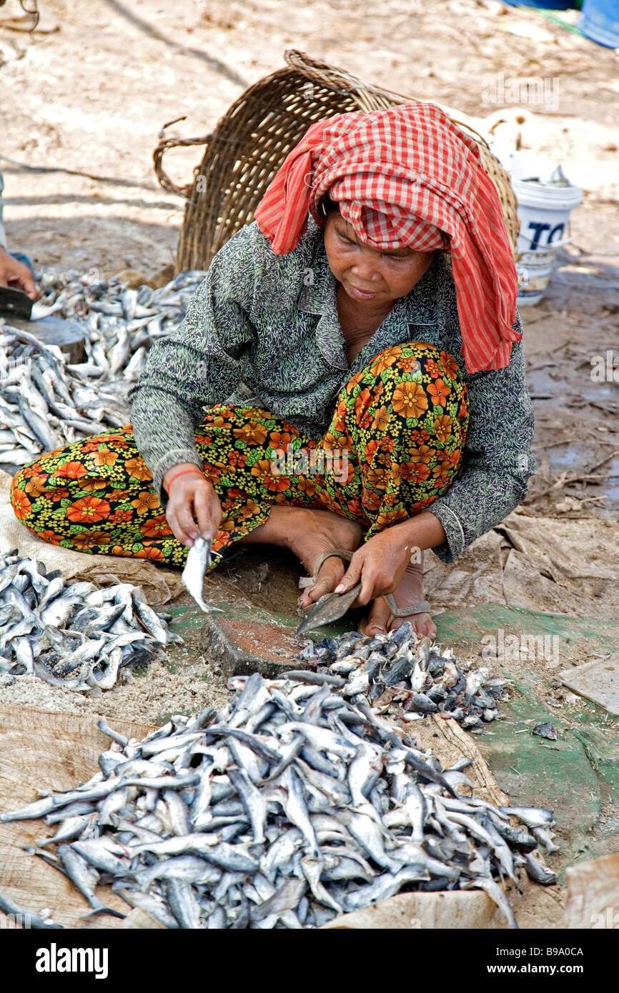 Tonle sap river cambodia fish hi-res stock photography and images - Alamy