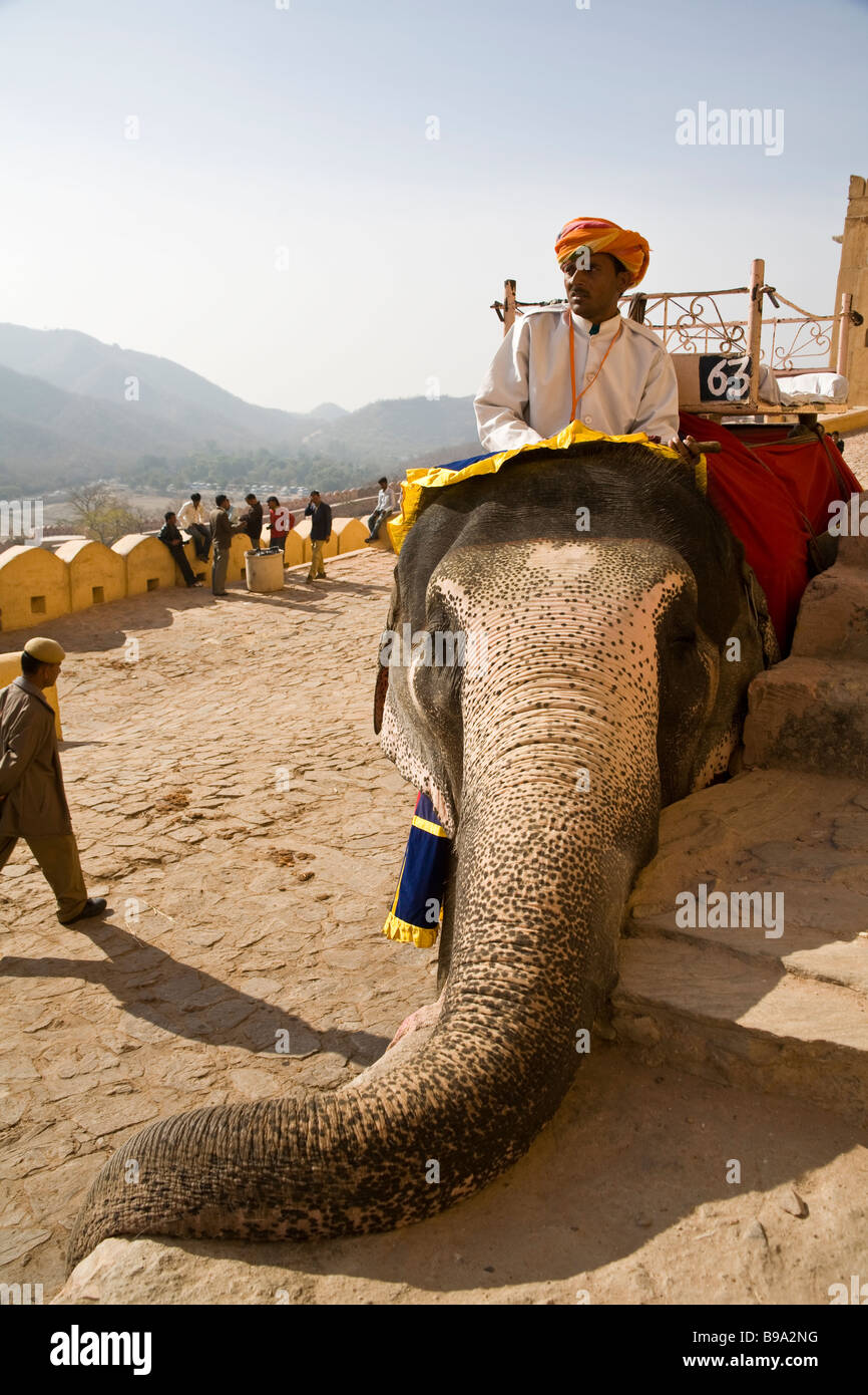 Indian man sitting on elephant hi-res stock photography and images - Alamy