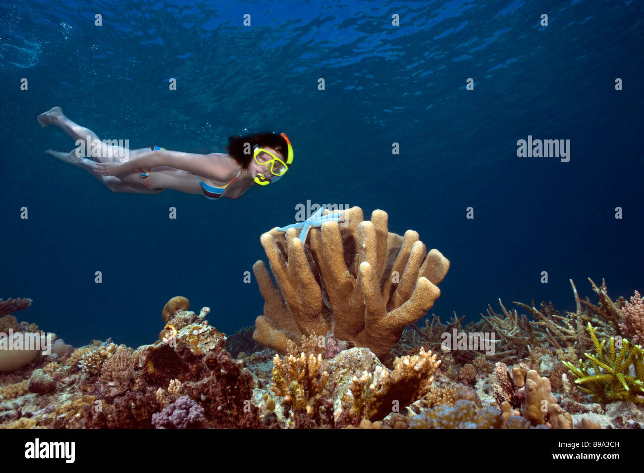White Girl In A Bikini Snorkelling Underwater Looking At Coral And A