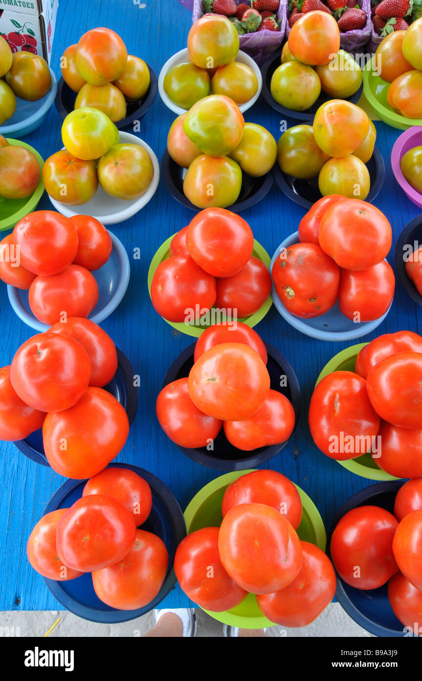 Tomato tomatoes hi-res stock photography and images - Alamy