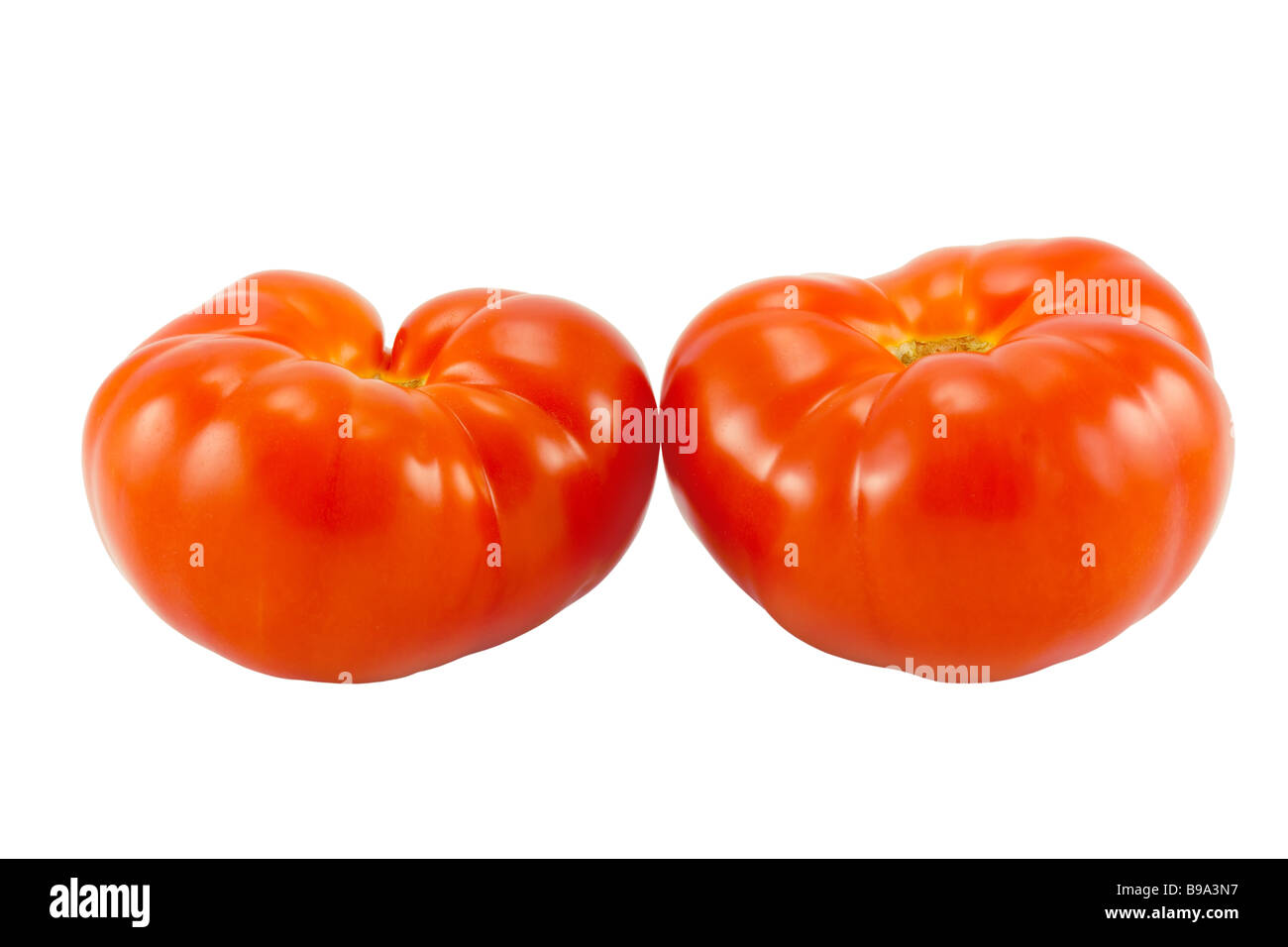 the two red tomatoes isolated on white background Stock Photo - Alamy