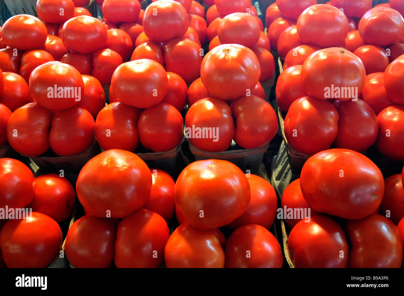 Tomato Tomatoes Produce display at farmer s flea market florida Stock ...