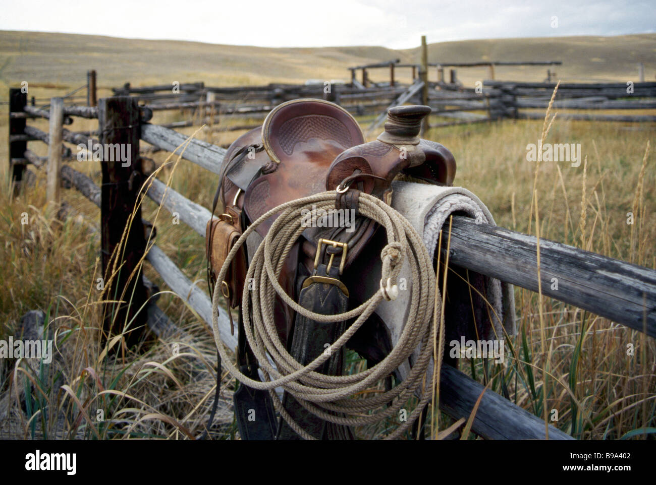 Cowboy's Horse Saddle and Lasso hanging over a Rail Fence around a ...