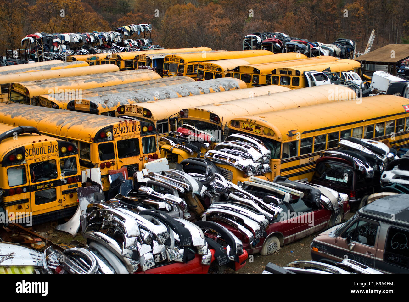 Old School Buses Junkyard