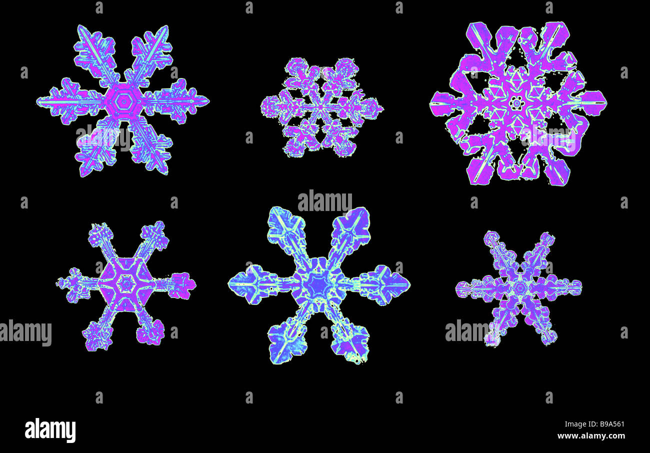 colour enhanced photograph of snowflakes Stock Photo - Alamy