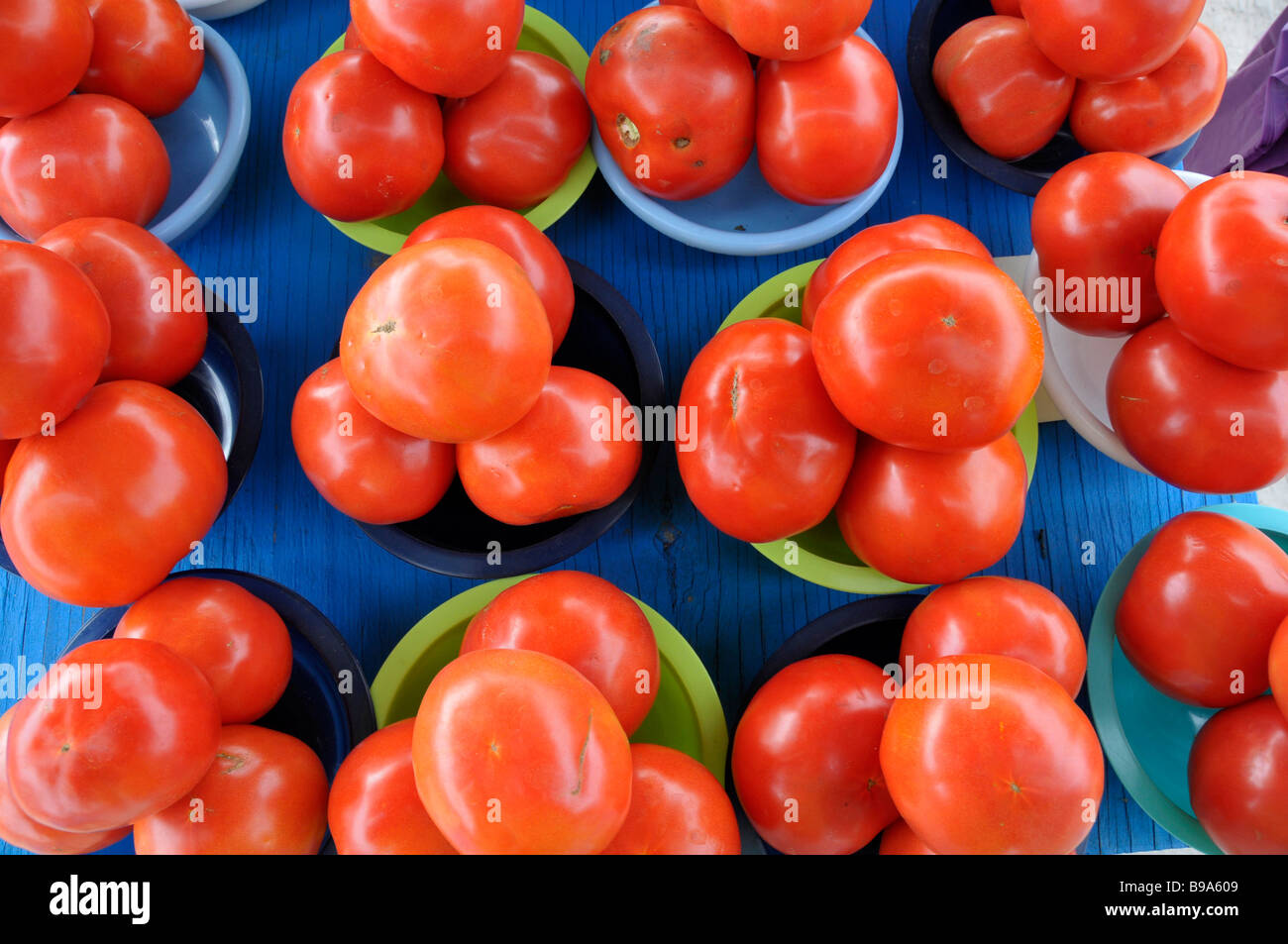 Tomato Tomatoes Produce display at farmer s flea market florida Stock ...