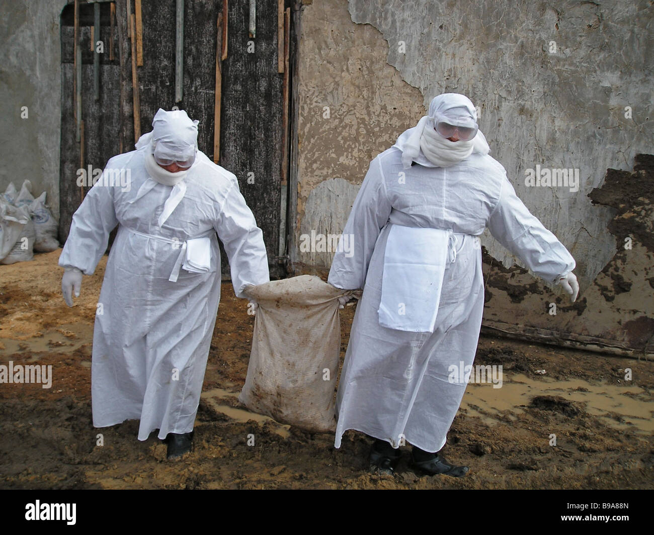 A bird flu quarantine imposed on a private poultry farm in the Paraul ...