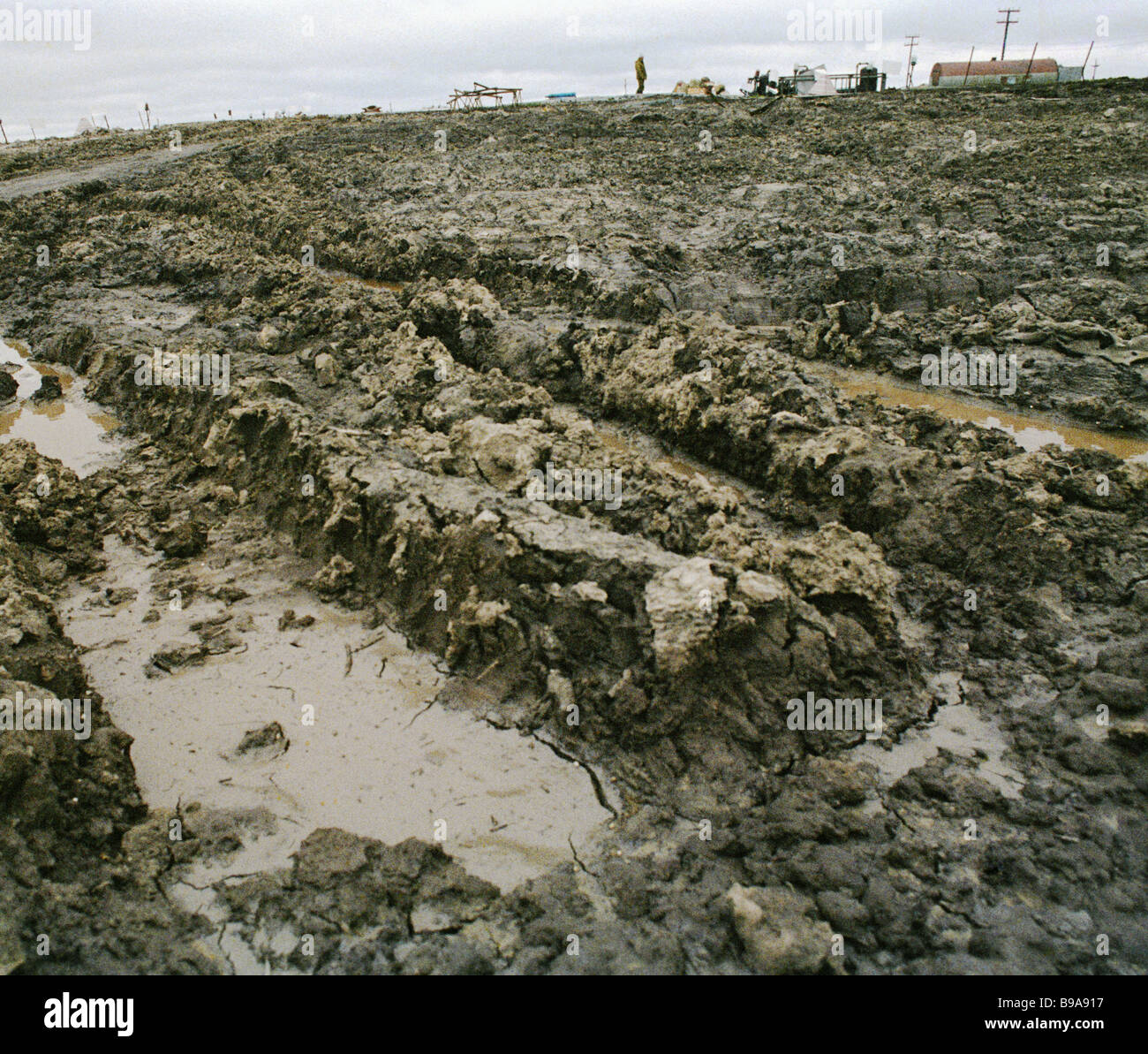 Tundra surface destroyed by cross country vehicles Stock Photo - Alamy