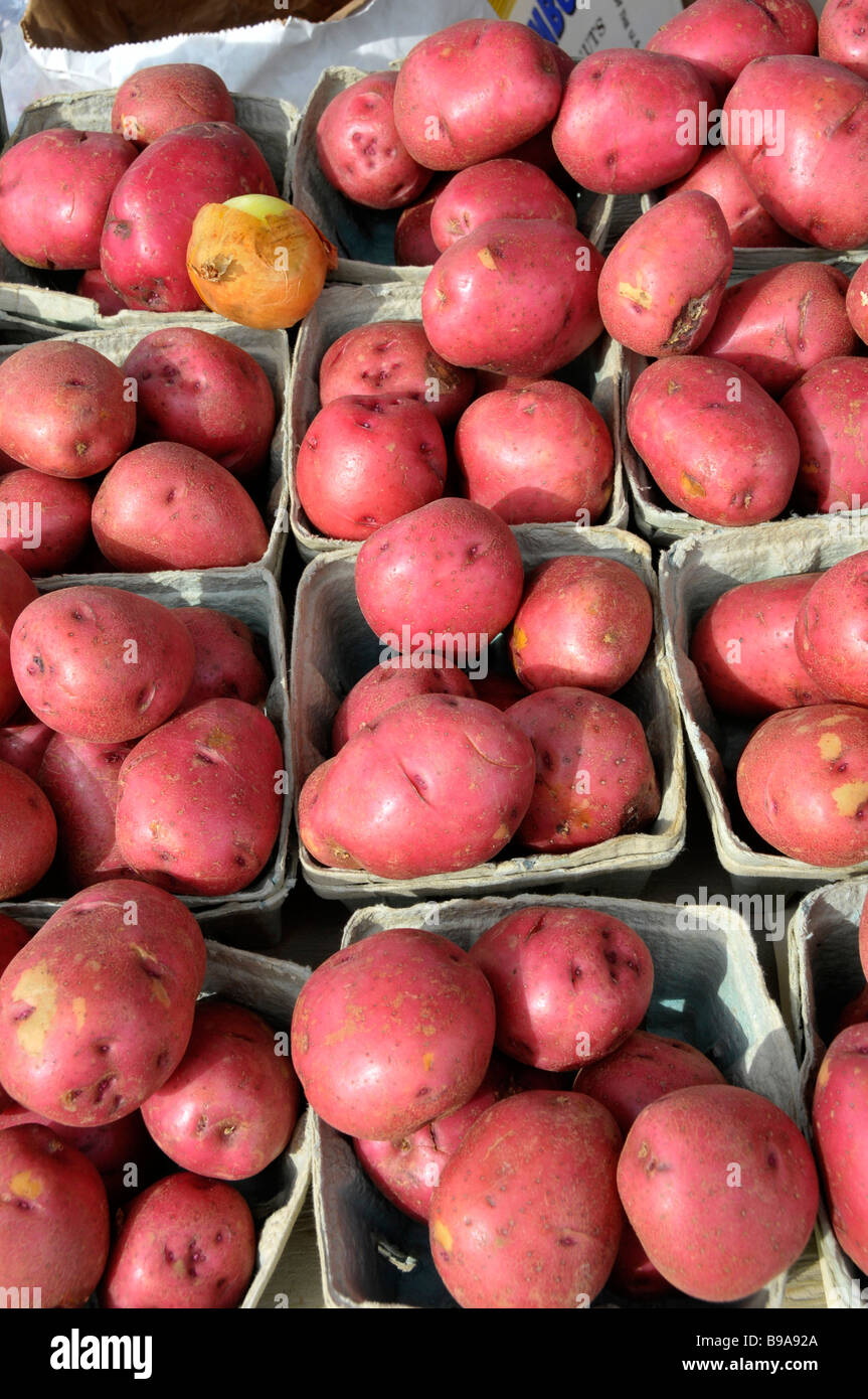 Red potatoes hi-res stock photography and images - Alamy