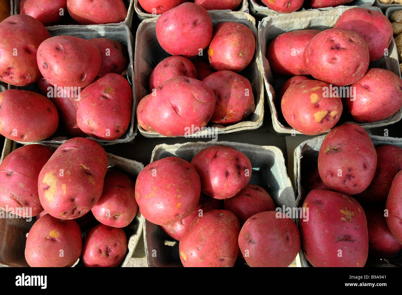 Red potatoes Produce display at farmer s flea market florida Stock ...