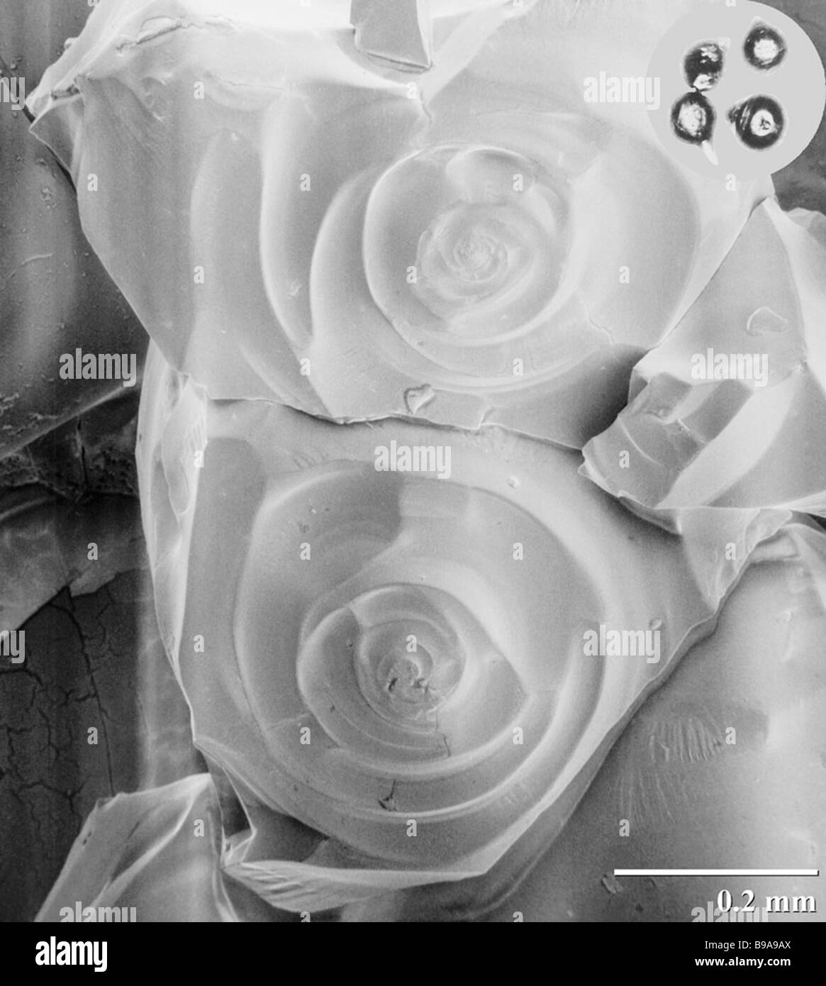 electron micrograph of a fractured hail particle Stock Photo - Alamy