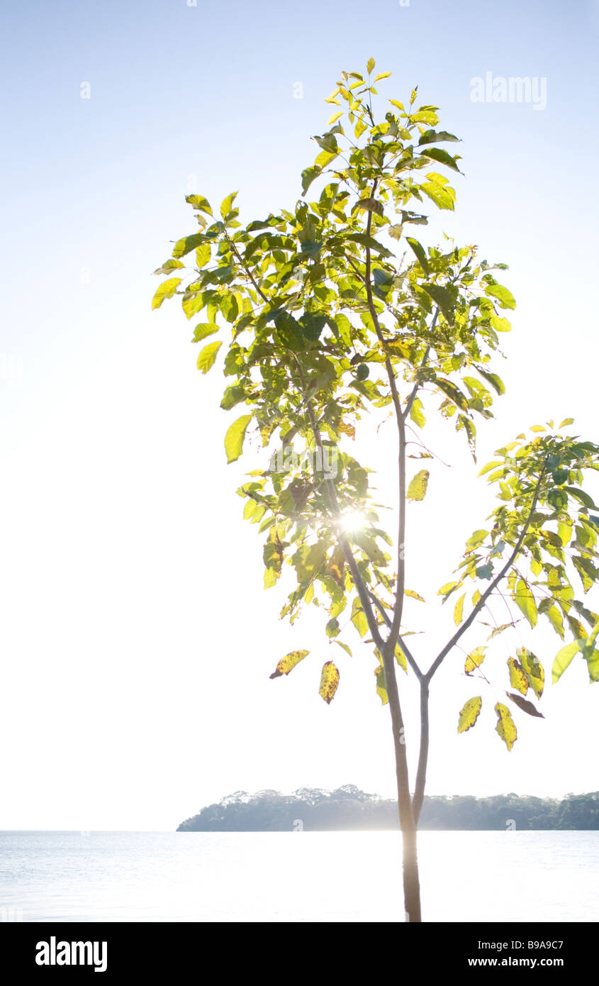 A sunny day on one of the Solentiname islands in Lake Nicaragua Stock ...