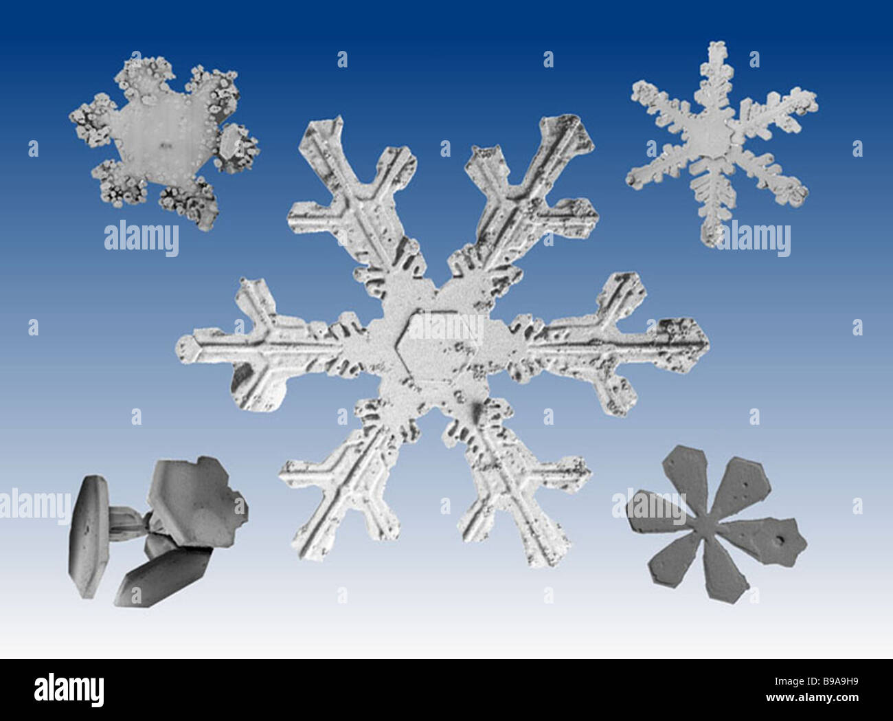 Snowflake microscope hi-res stock photography and images - Alamy