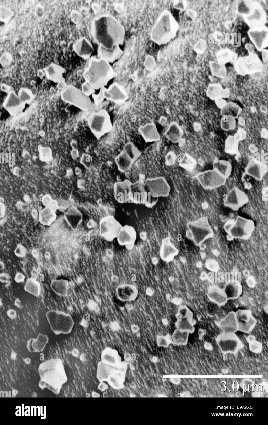 Electron micrograph of carbon dioxide crystals Stock Photo - Alamy