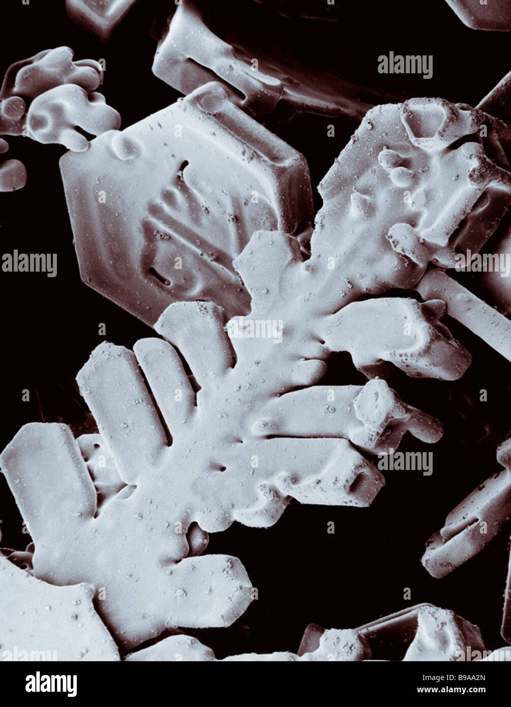 Snowflake microscope hi-res stock photography and images - Alamy