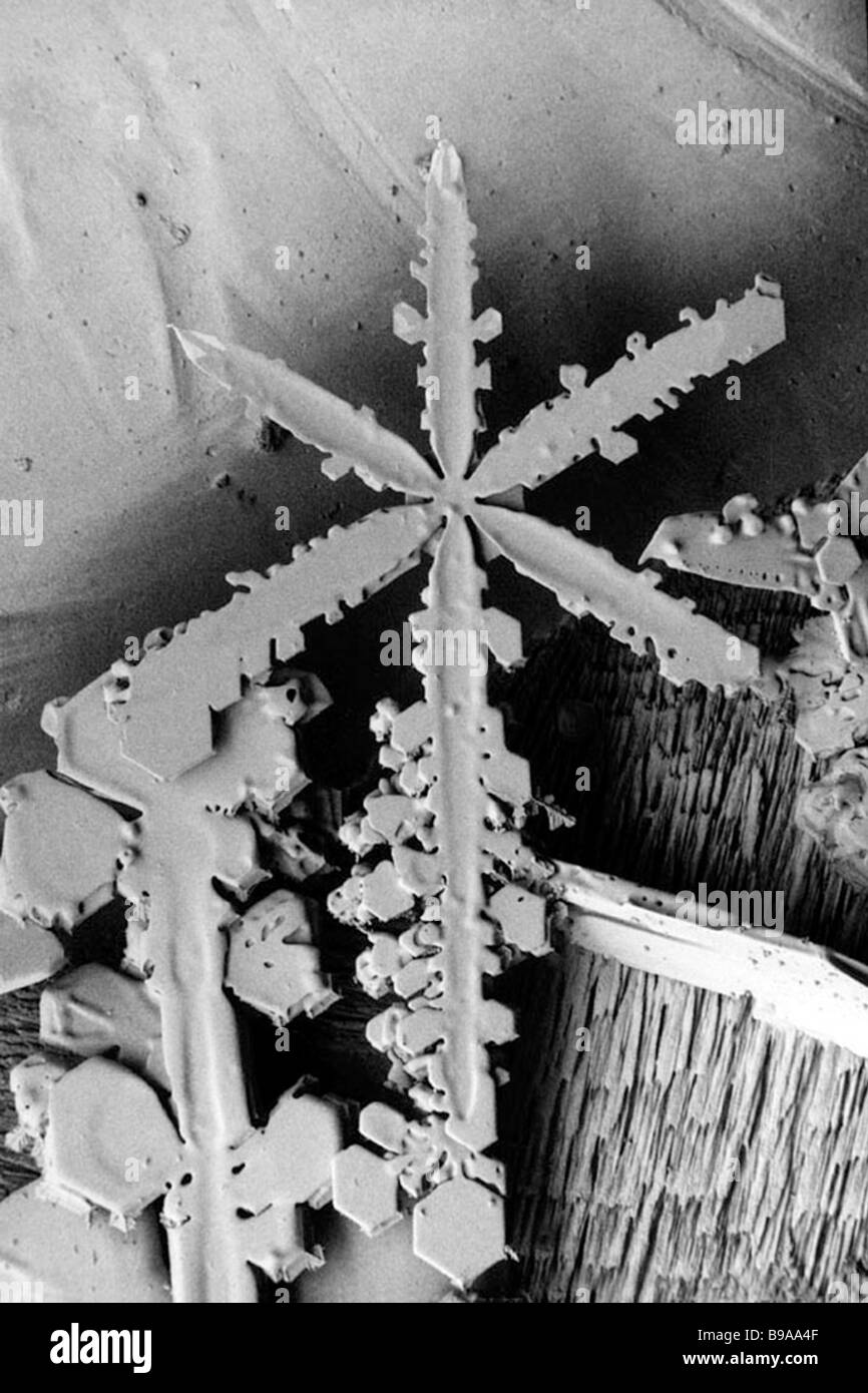 Electron Microscope Snowflake