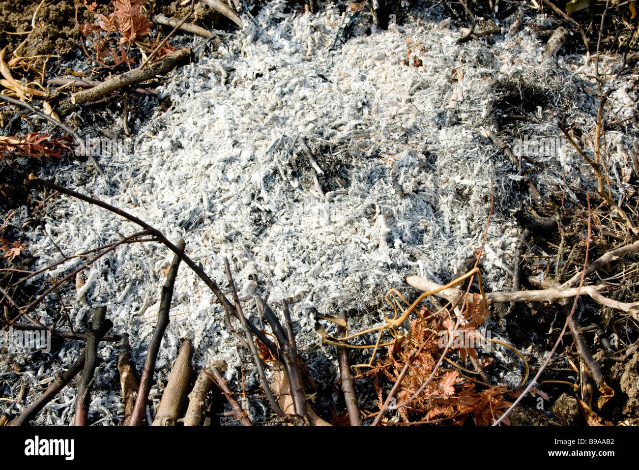 Wood-ash for the garden from a small bonfire Stock Photo - Alamy
