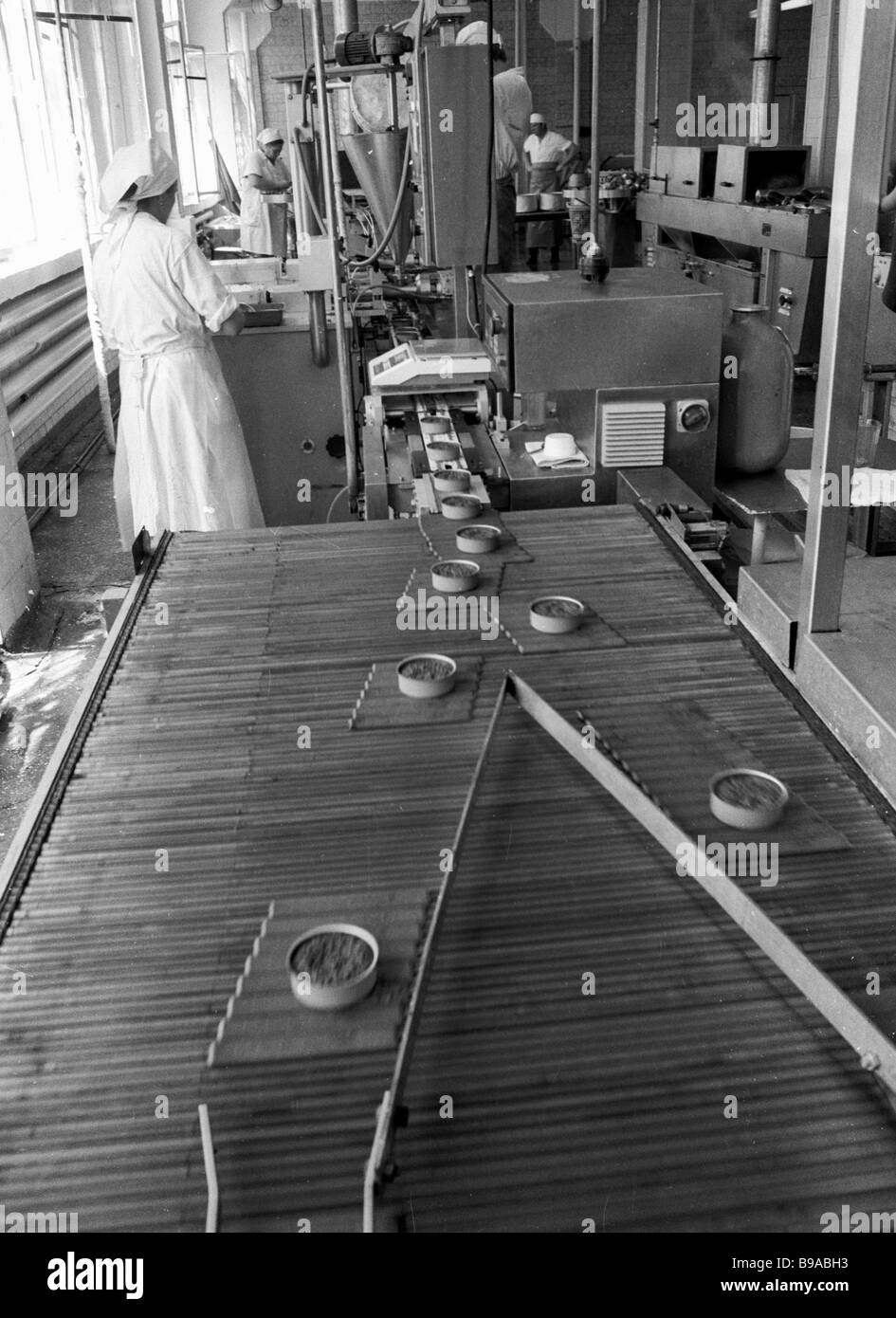 Processing sturgeon caviar The Astrakhan caviar and fish products ...