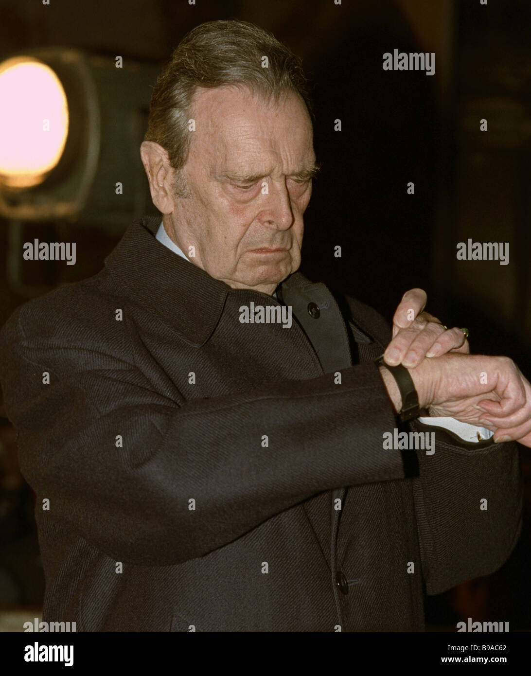 Grand Prince Vladimir Romanov Stock Photo - Alamy