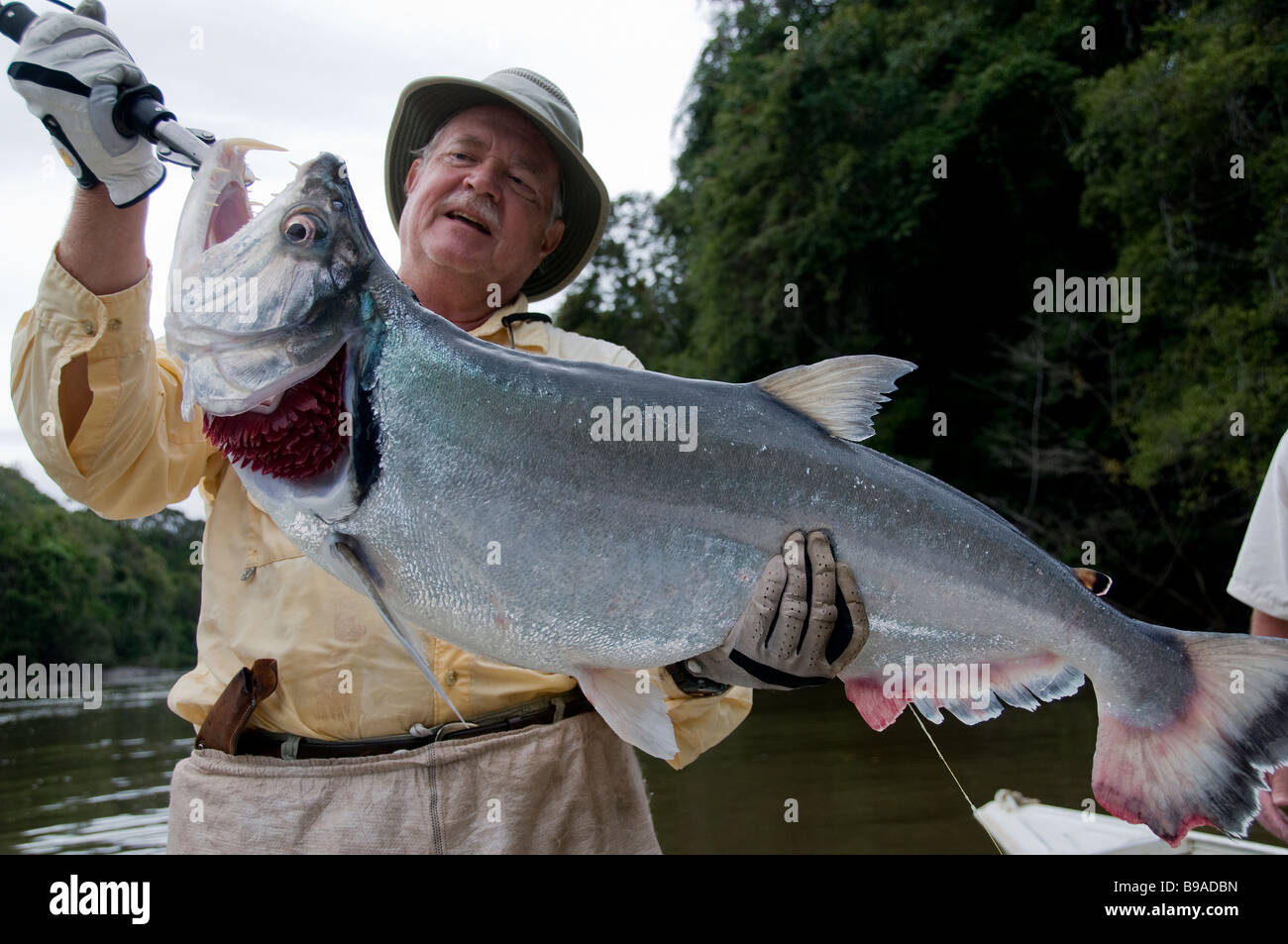 An angler admires a giant, 20-plus pound payara taken from a rocky ...