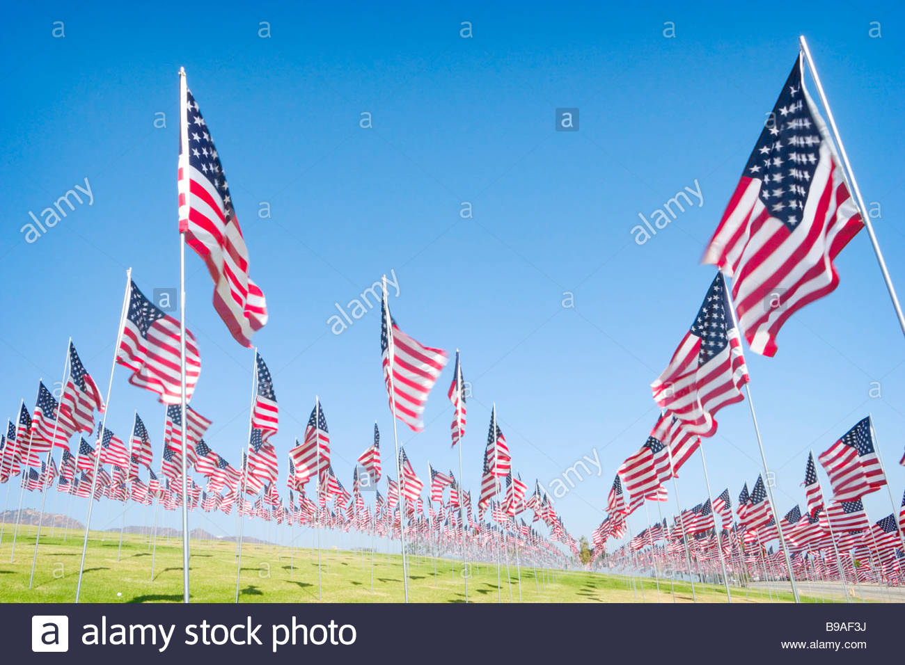 American Flags 911 Memorial Pepperdine High Resolution Stock ...