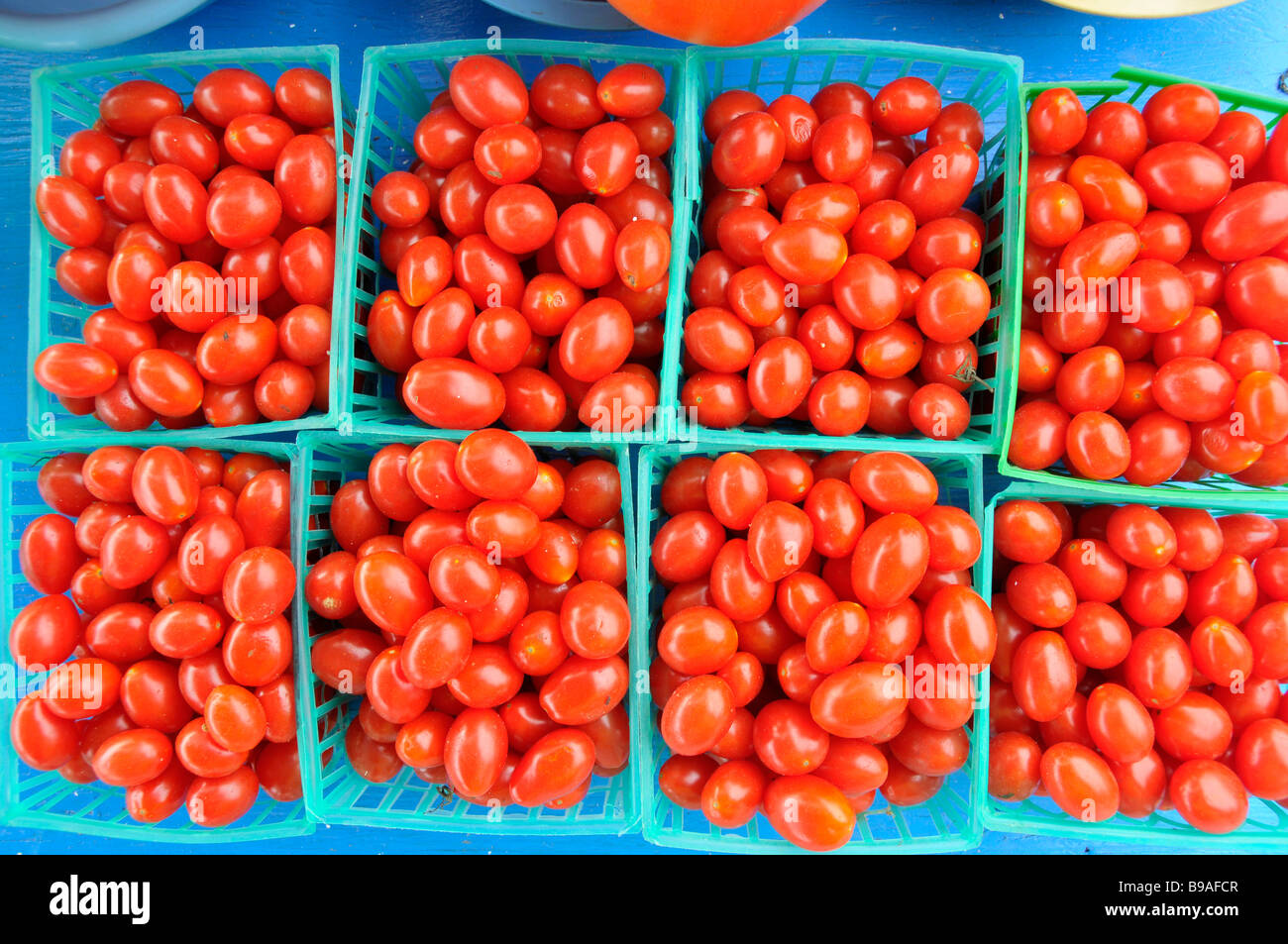 Tomato Tomatoes Produce display at farmer s flea market florida Stock ...