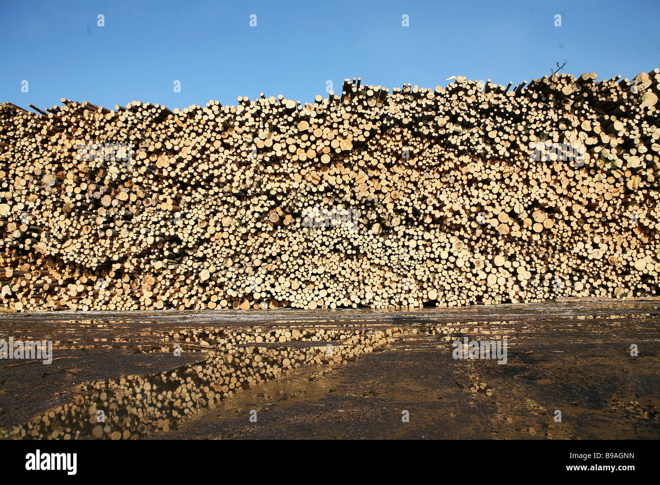 The Kotlas Pulp and Paper Combine in European Russia s north processes ...