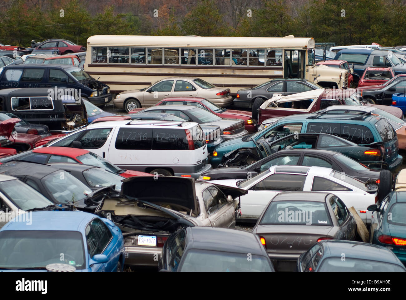 old buses in a junk yard Stock Photo - Alamy