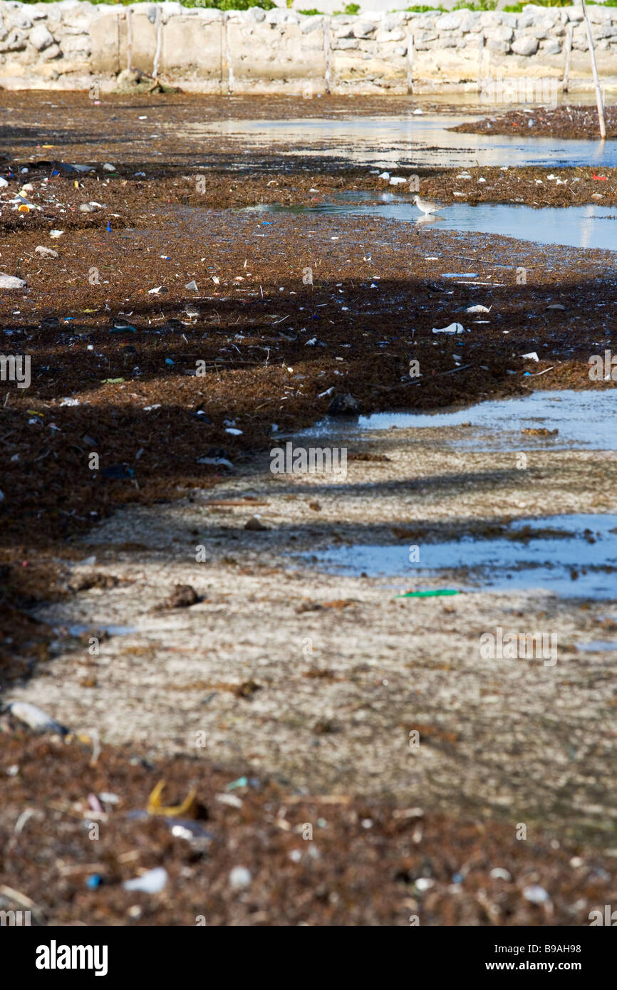 Trash and pollution is blown onto the beaches from the Gulf of Mexico ...