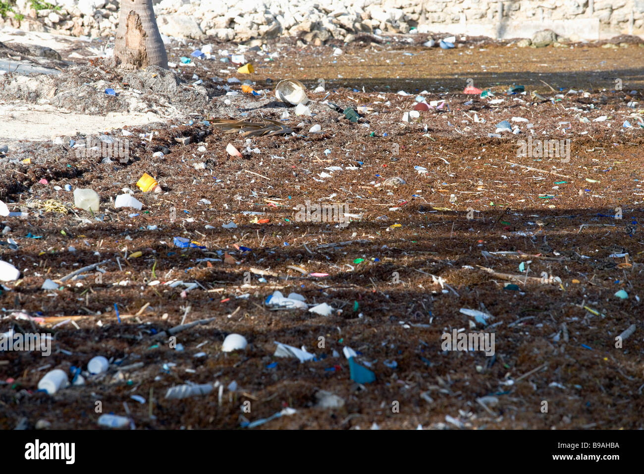 Trash and pollution is blown onto the beaches from the Gulf of Mexico ...