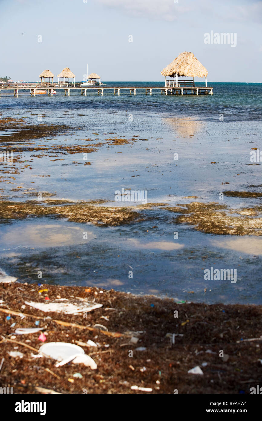 Trash and pollution is blown onto the beaches from the Gulf of Mexico ...