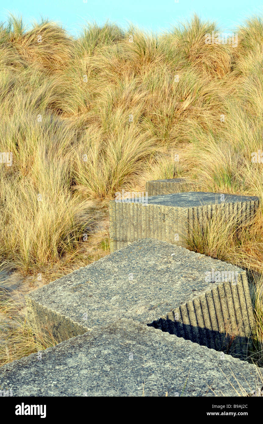 beach alnmouth tank traps beach uk Stock Photo - Alamy