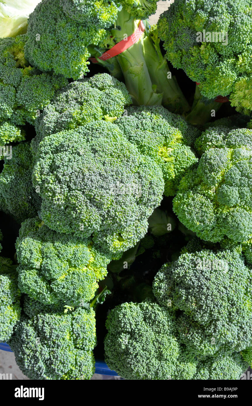 Green broccoli Produce display at farmer s flea market florida Stock ...