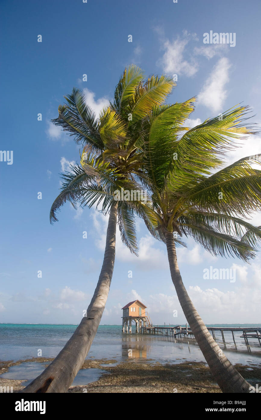Palm trees blow in the afternoon breeze along the shore with a pier and ...
