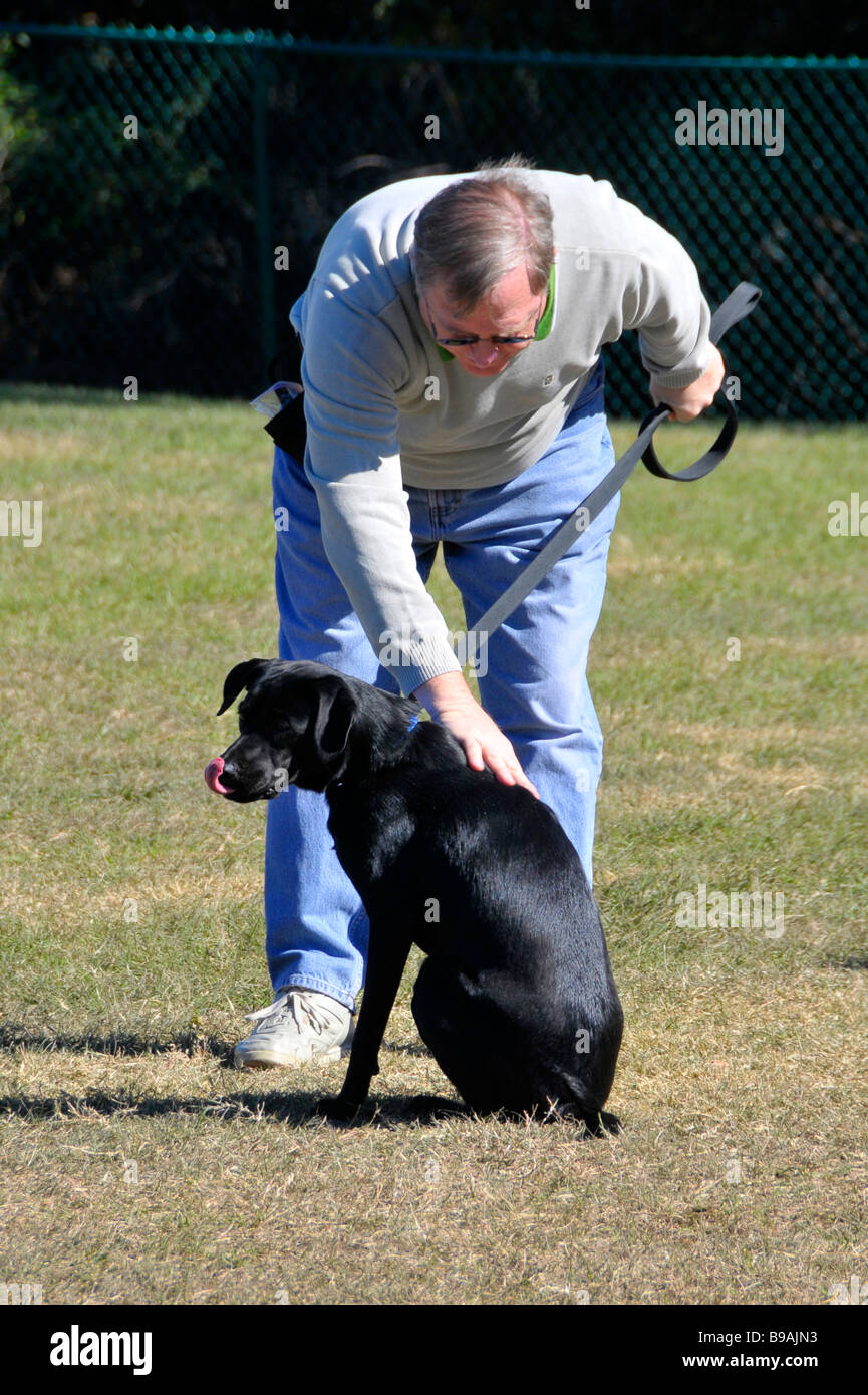 Outdoor dog obedience class trains owners and dogs Stock Photo - Alamy