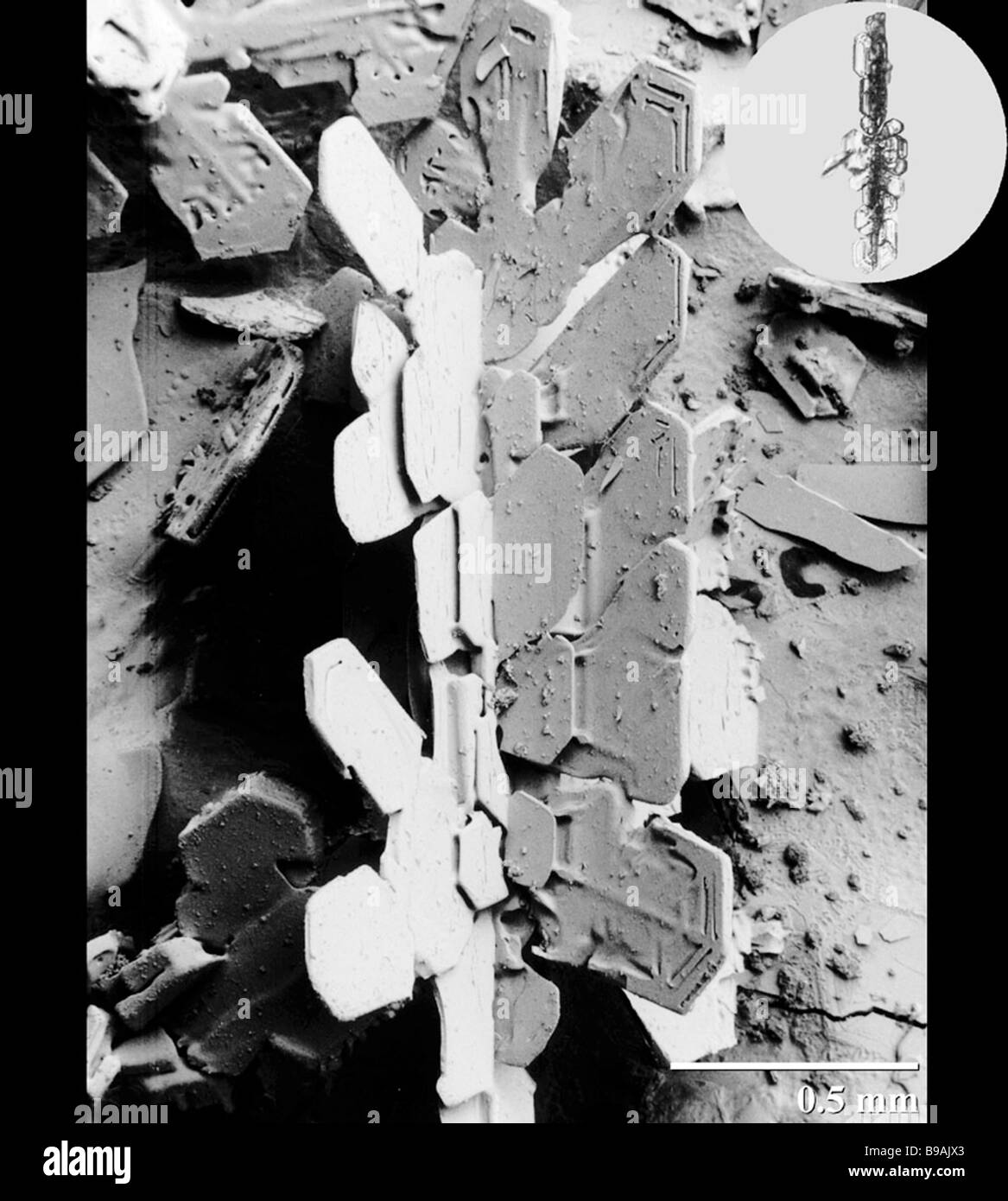 Electron micrograph of a tsuzumi snowflake crystal Stock Photo - Alamy