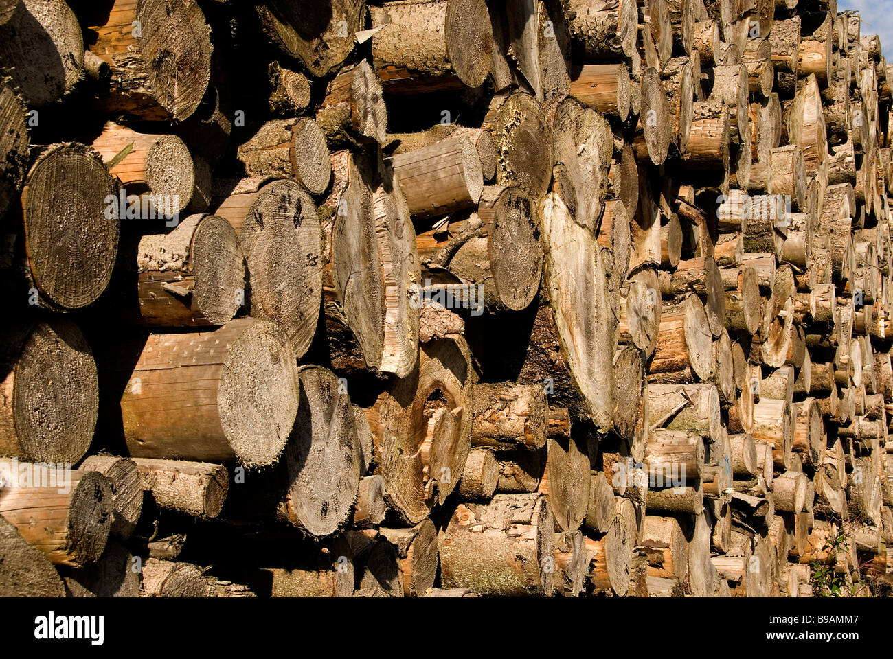 Big wood pile hi-res stock photography and images - Alamy